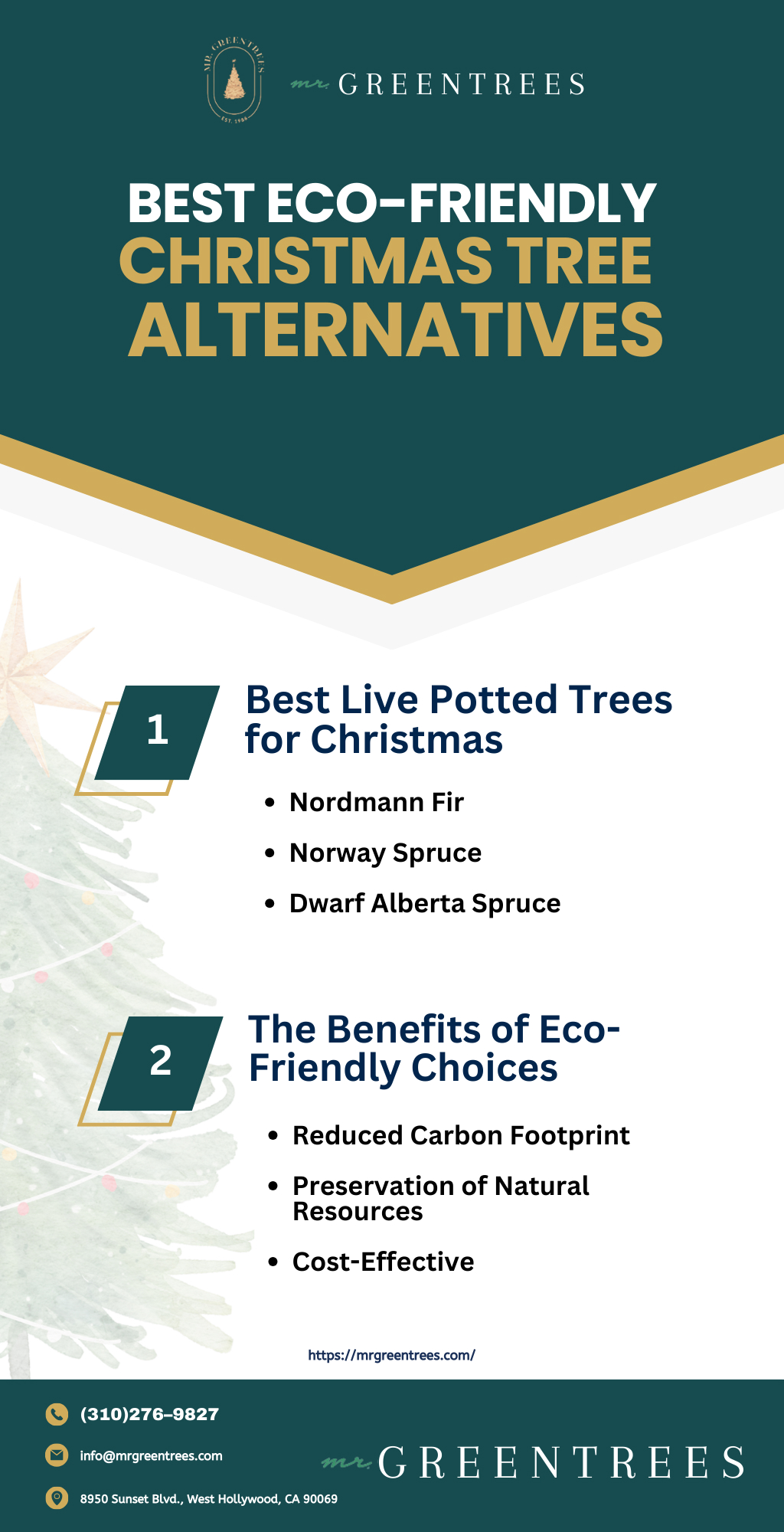 Best Eco-Friendly Christmas Tree Alternatives | Jennifer Lynne