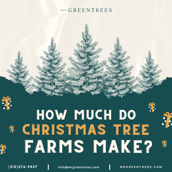 How Much Do Christmas Tree Farms Make? | Jennifer Lynne