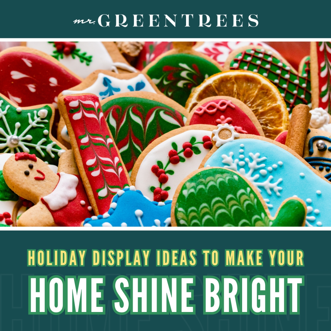 Holiday Display Ideas to Make Your Home Shine Bright - Mr. Greentrees